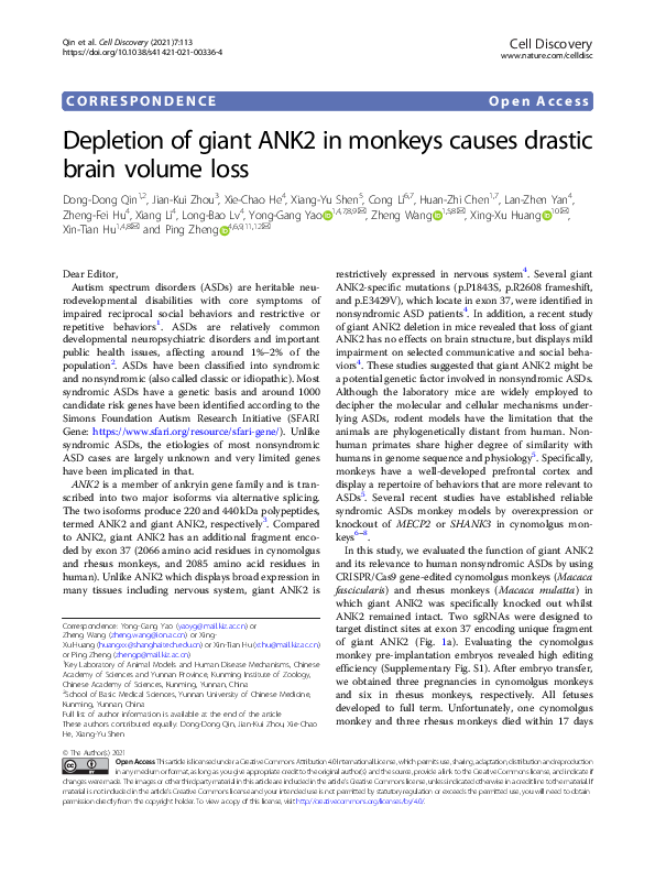 (PDF) Depletion of giant ANK2 in monkeys causes drastic brain volume loss