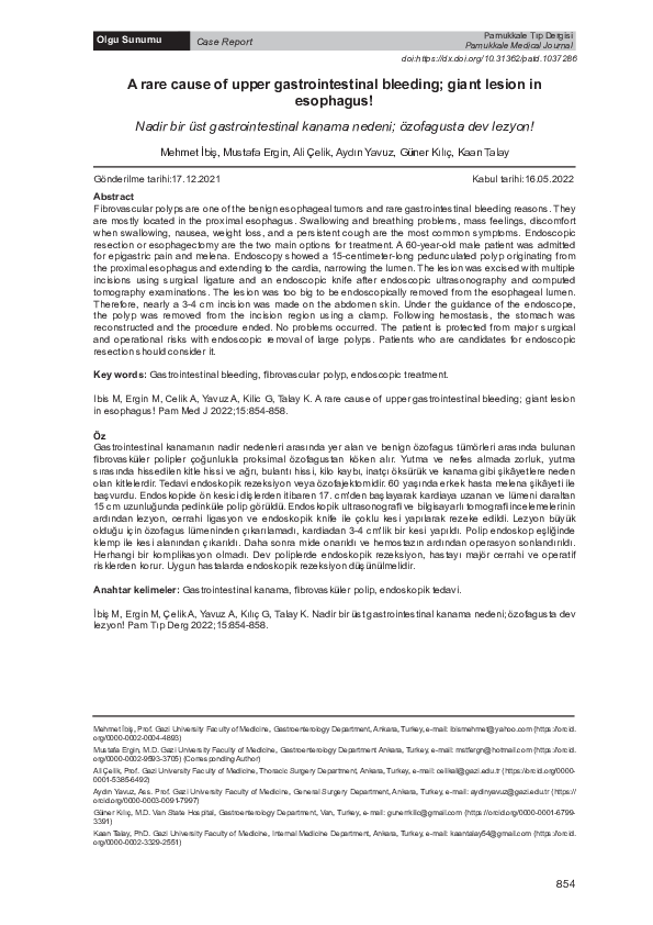(PDF) A rare cause of upper gastrointestinal bleeding; giant lesion in ...