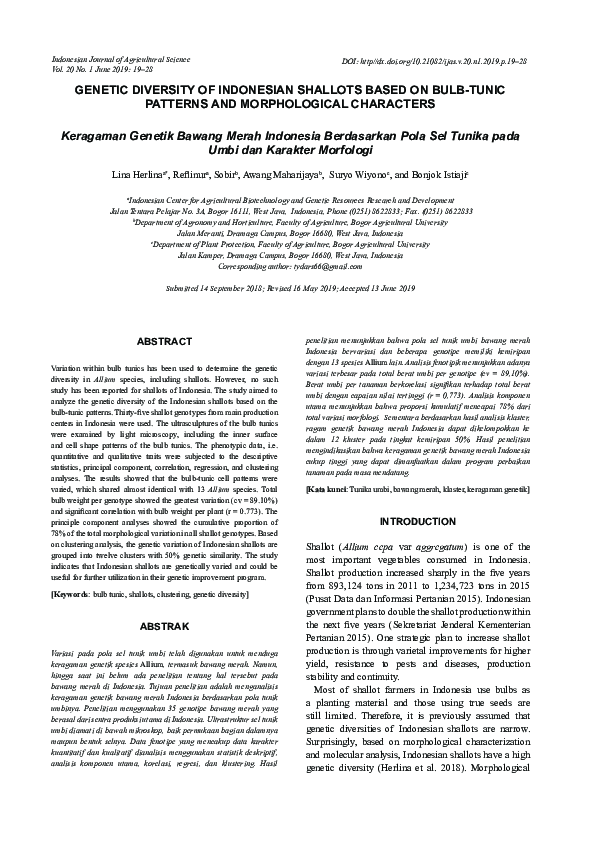 (PDF) Genetic Diversity of Indonesian Shallots Based on Bulb-Tunic ...
