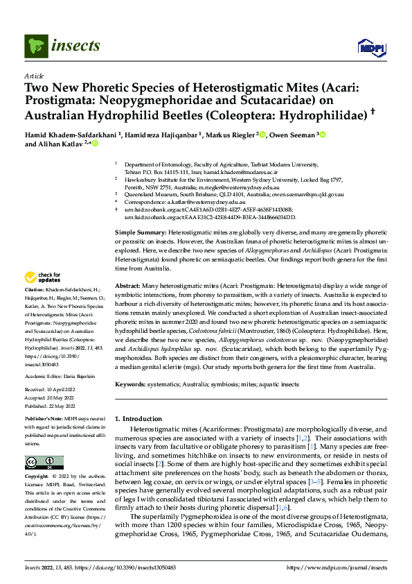 (PDF) Two New Phoretic Species of Heterostigmatic Mites (Acari ...