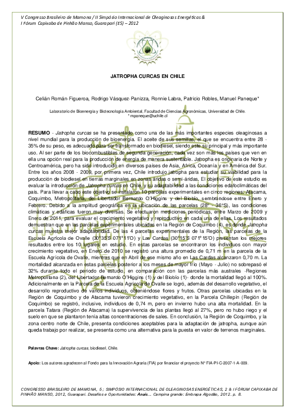(PDF) JATROPHA curcas en Chile