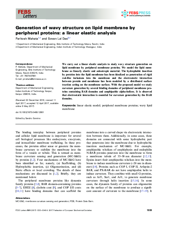 (PDF) Generation of wavy structure on lipid membrane by peripheral ...