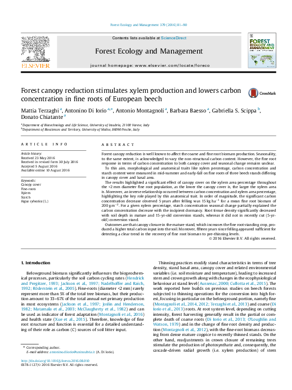 (PDF) Forest canopy reduction stimulates xylem production and lowers ...