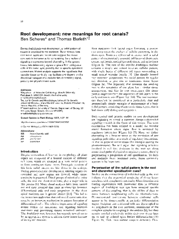 (PDF) Root development: New meanings for root canals?
