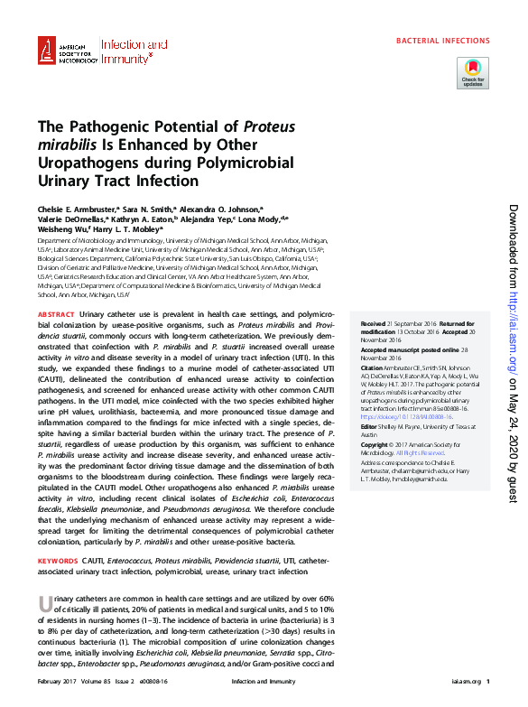 (PDF) The Pathogenic Potential of Proteus mirabilis Is Enhanced by ...