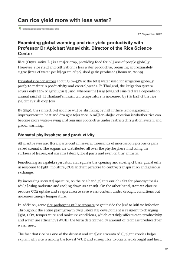 (PDF) Can rice yield more with less water?
