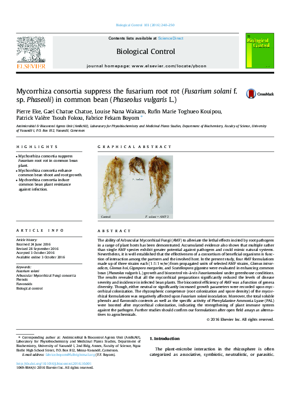 (PDF) Mycorrhiza consortia suppress the fusarium root rot ( Fusarium ...