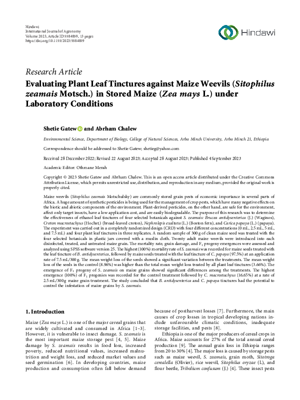 Pdf Evaluating Plant Leaf Tinctures Against Maize Weevils Sitophilus Zeamais Motsch In