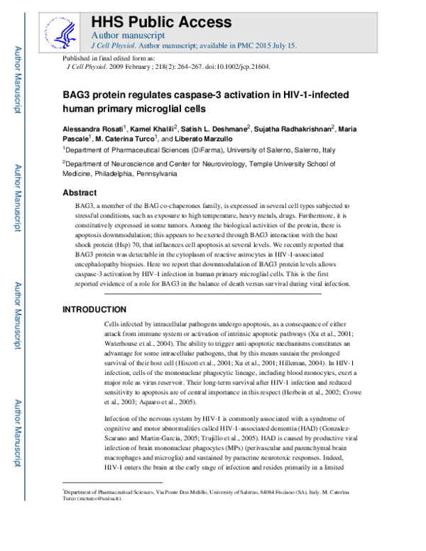 (PDF) BAG3 protein regulates caspase-3 activation in HIV-1-infected ...