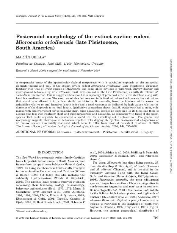 (PDF) Postcranial morphology of the extinct caviine rodentMicrocavia ...