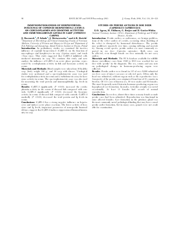 (PDF) Studies on Peruke Antlers in Roe Deer (Capreolus capreoulus)