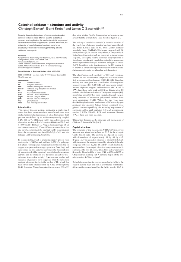 (PDF) Catechol oxidase — structure and activity