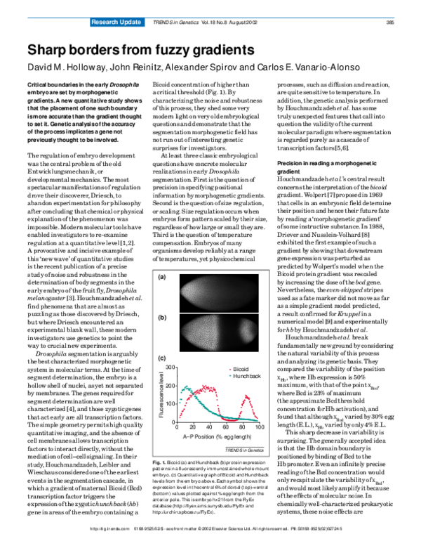 (PDF) Sharp borders from fuzzy gradients