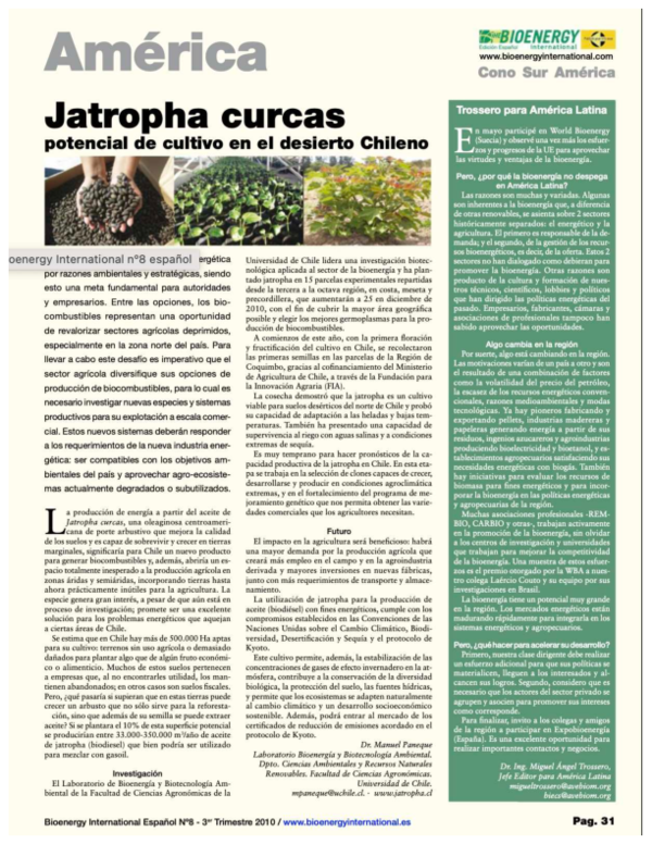 (PDF) Jatropha curcas, potencial de cultivo en el desierto chileno