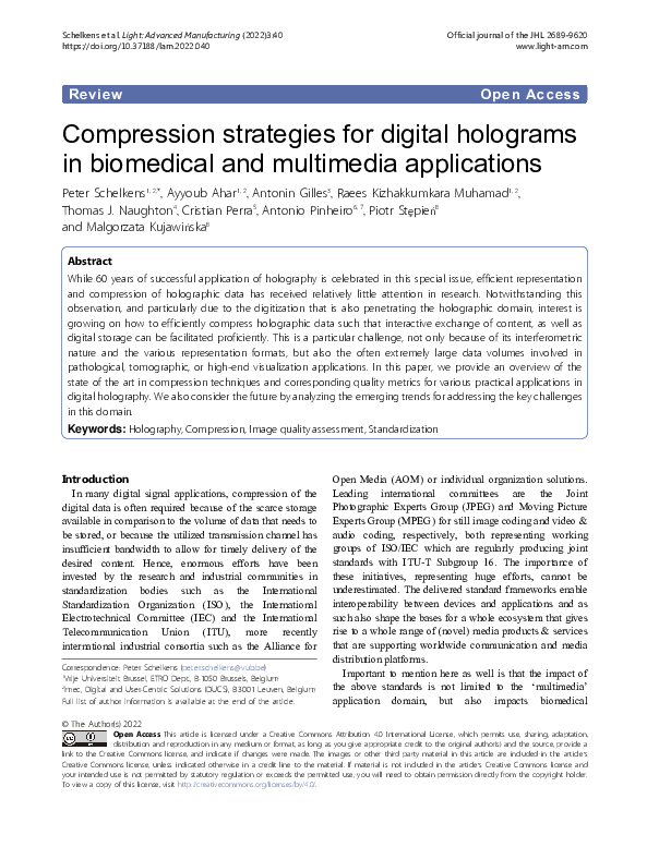 (PDF) Compression strategies for digital holograms in biomedical and multimedia applications