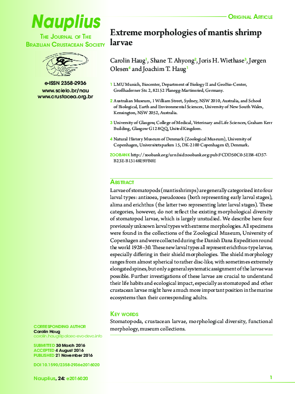 (PDF) Extreme morphologies of mantis shrimp larvae