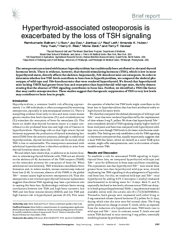 (PDF) Hyperthyroid-associated osteoporosis is exacerbated by the loss of TSH signaling
