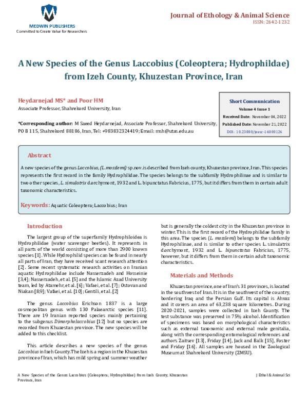 (PDF) A New Species of the Genus Laccobius (Coleoptera; Hydrophildae ...