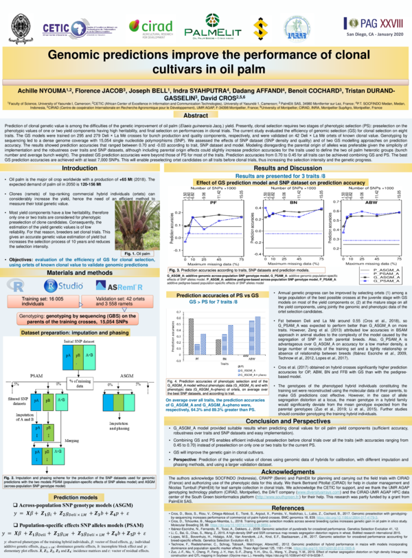 (PDF) Genomic predictions improve the performance of clonal cultivars ...