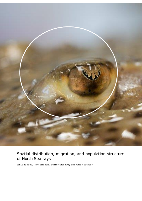 (PDF) Spatial distribution, migration, and population structure of ...