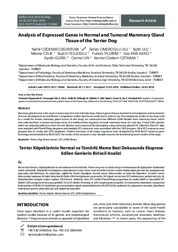 (PDF) Terrier Köpeklerinin Normal ve Tümörlü Meme Bezi Dokusunda ...