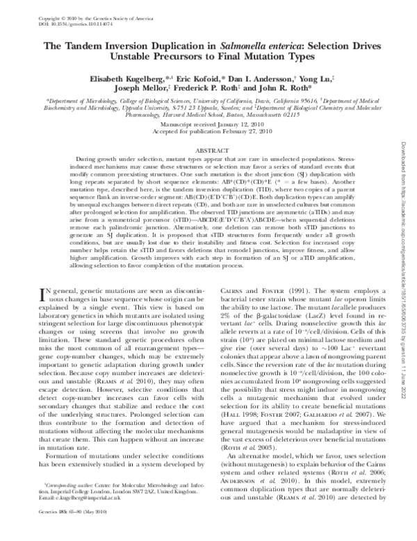 (PDF) The Tandem Inversion Duplication in Salmonella enterica ...