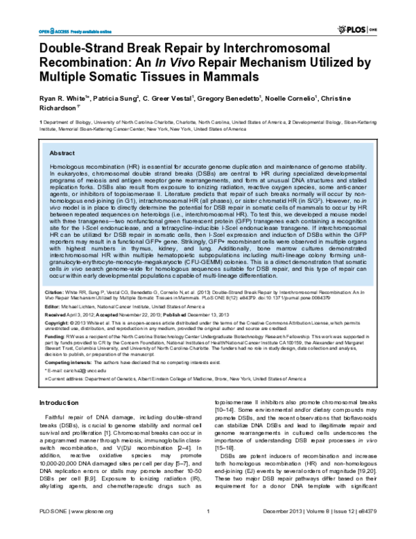 (PDF) Double-Strand Break Repair by Interchromosomal Recombination: An ...