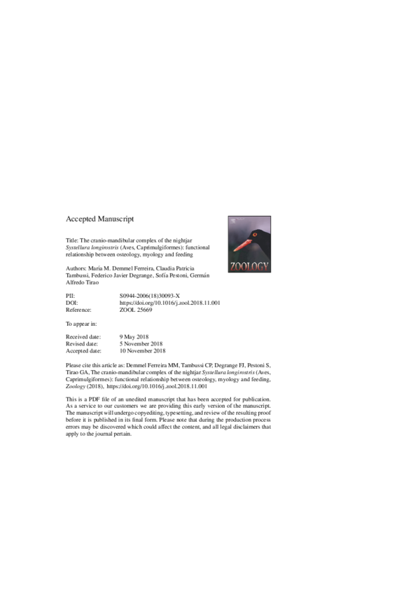 (PDF) The cranio-mandibular complex of the nightjar Systellura ...