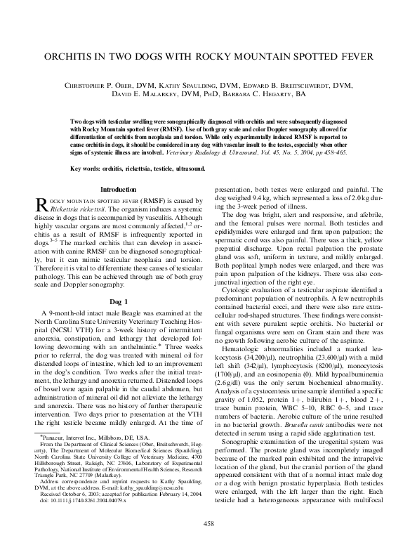 (PDF) Orchitis in Two Dogs with Rocky Mountain Spotted Fever