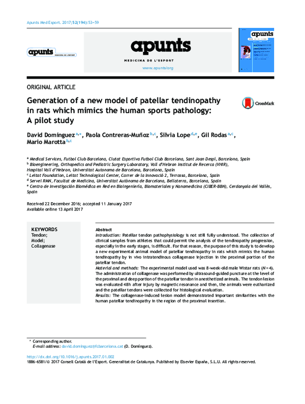 (PDF) Generation of a new model of patellar tendinopathy in rats which ...