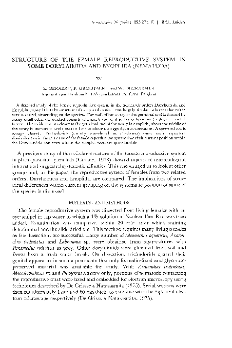 (PDF) Structure of the Female Reproductive System in Some Dorylaimida ...