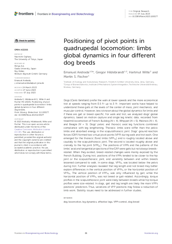 (PDF) Positioning of pivot points in quadrupedal locomotion: limbs ...