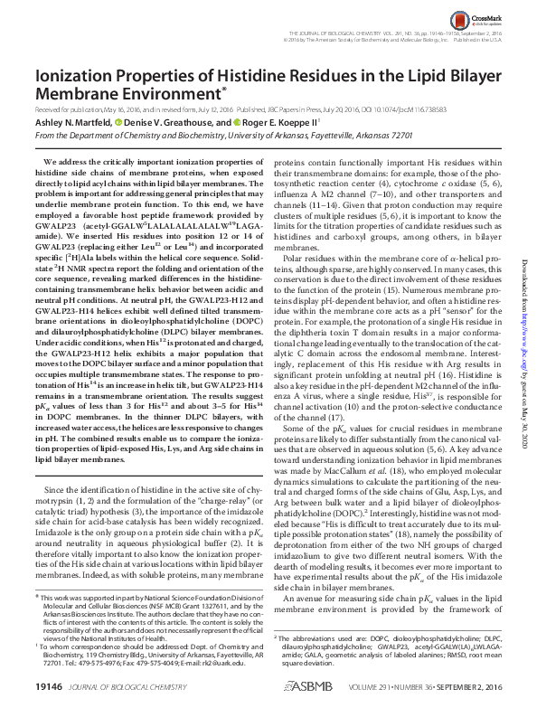 (PDF) Ionization Properties of Histidine Residues in the Lipid Bilayer ...