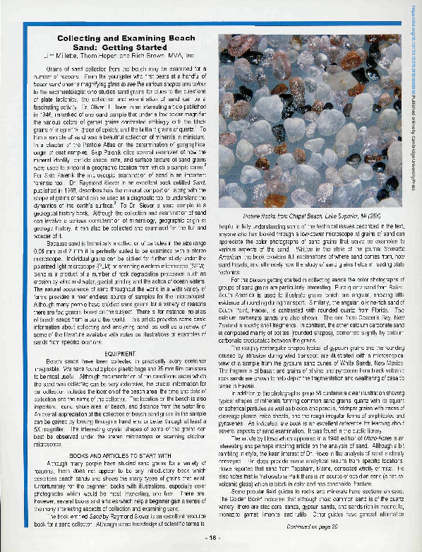 (PDF) Collecting and Examining Beach Sand: Getting Started