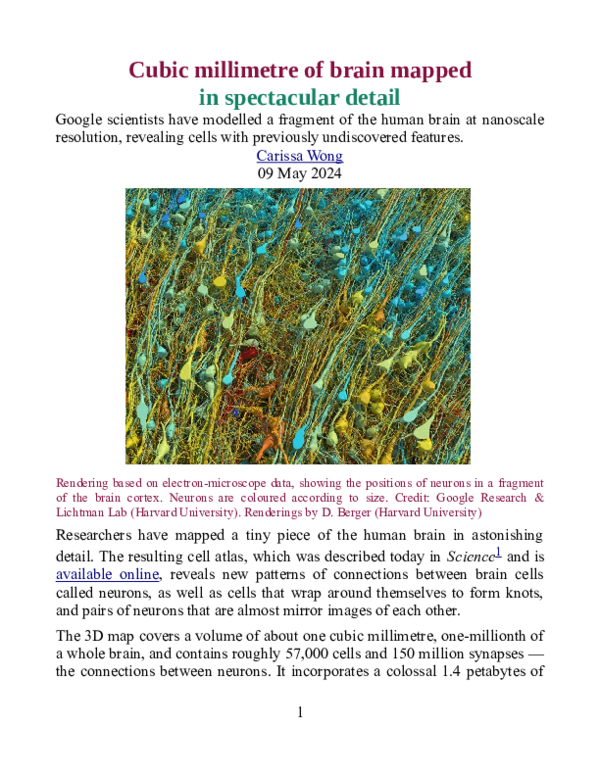 (PDF) Cubic millimetre of brain mapped in spectacular detail
