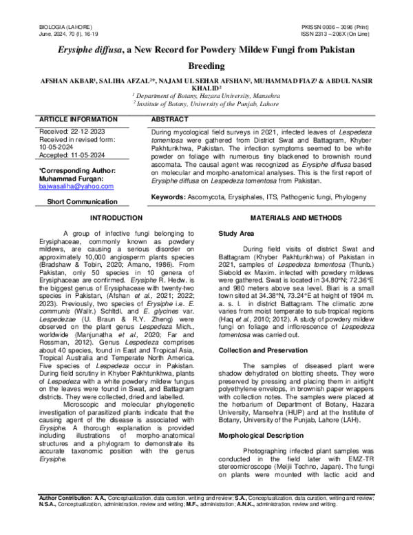 (PDF) Erysiphe diffusa, a New Record for Powdery Mildew Fungi from ...