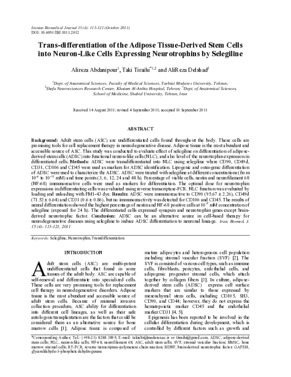 (PDF) Transdifferentiation of the Adipose Tissue-Derived Stem Cells ...