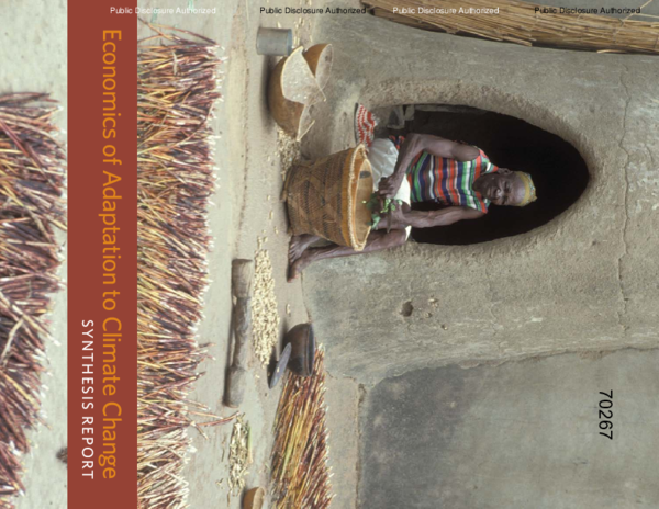 (PDF) Economics of Adaptation to Climate Change