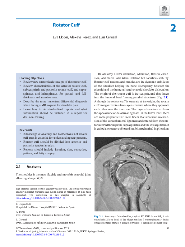 (PDF) Rotator Cuff