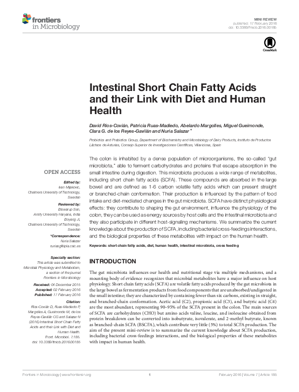 (PDF) Intestinal Short Chain Fatty Acids and their Link with Diet and ...