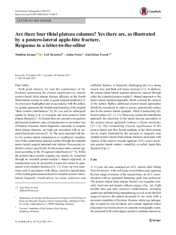 (PDF) Are there four tibial plateau columns? Yes there are, as ...