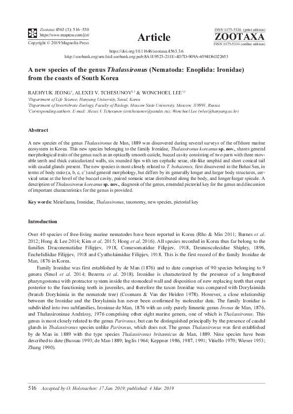 (PDF) A new species of the genus Thalassironus (Nematoda: Enoplida ...