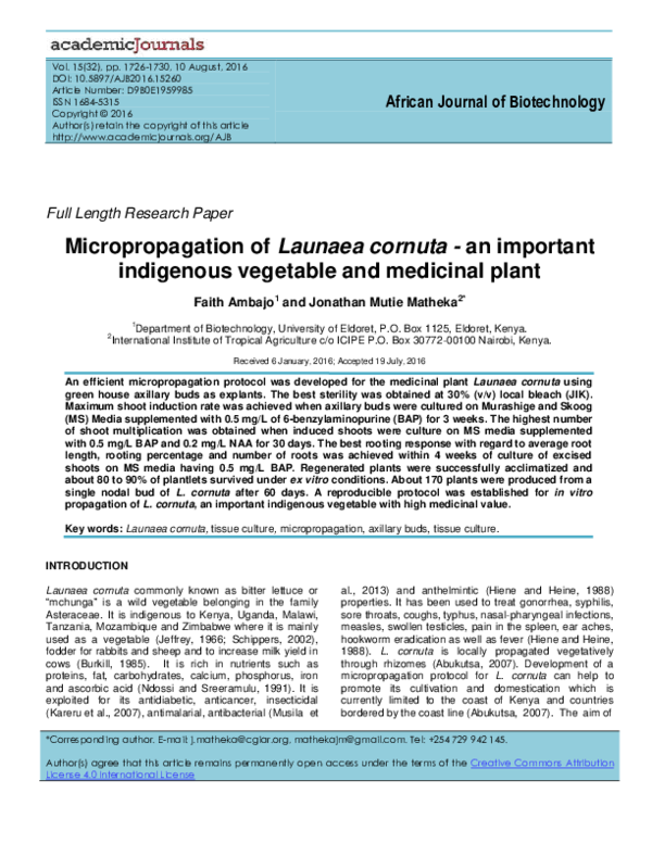 (PDF) Micropropagation of Launaea cornuta - an important indigenous ...