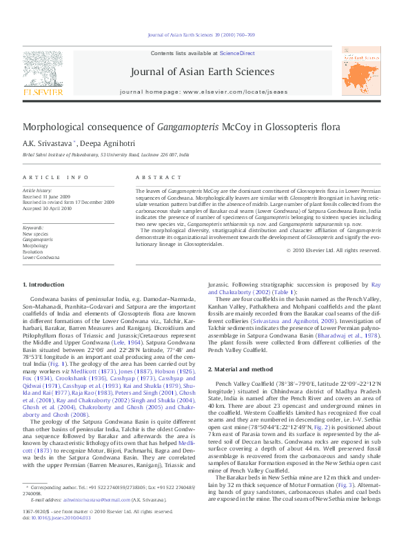(PDF) Morphological consequence of Gangamopteris McCoy in Glossopteris ...