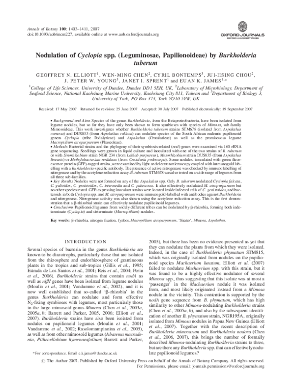 (PDF) Nodulation of Cyclopia spp.(Leguminosae, Papilionoideae) by ...