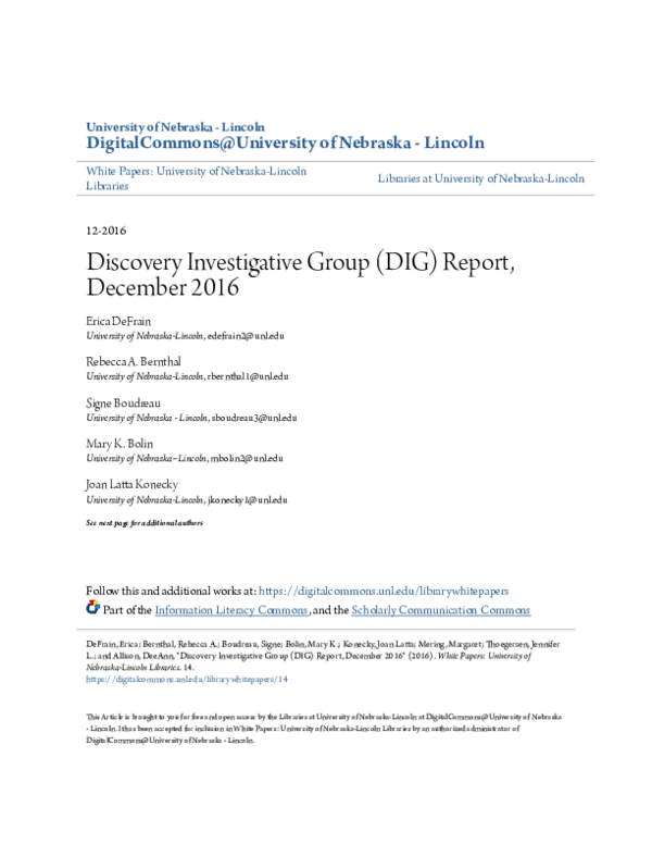 (PDF) Discovery Investigative Group (DIG) Report, December 2016 ...