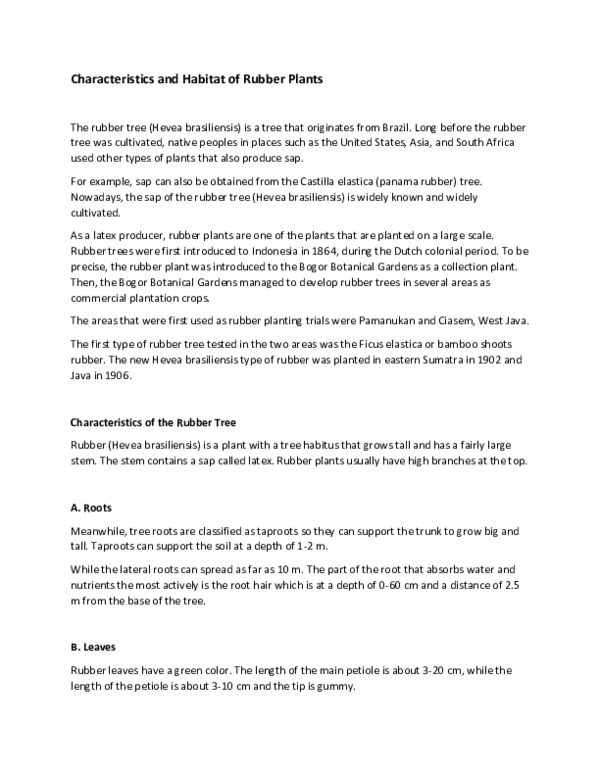 (PDF) Characteristics and Habitat of Rubber Plants