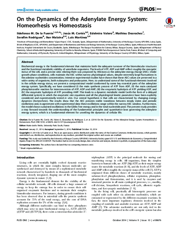 (PDF) On the dynamics of the adenylate energy system: homeorhesis vs ...