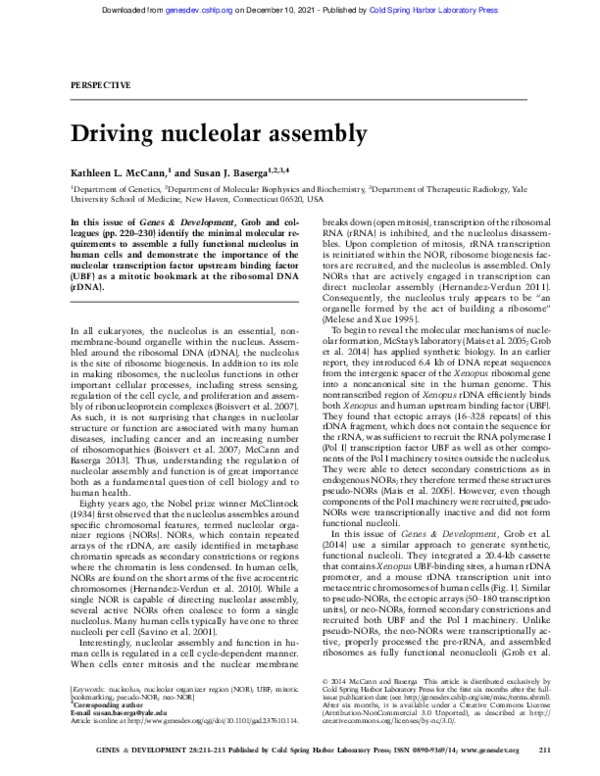 (PDF) Driving nucleolar assembly
