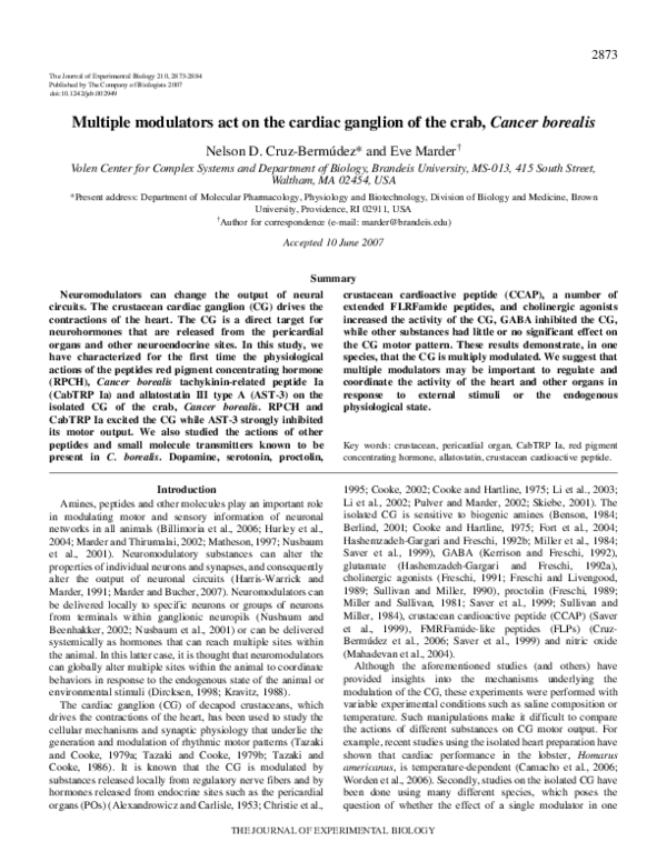 (PDF) Multiple modulators act on the cardiac ganglion of the crab ...